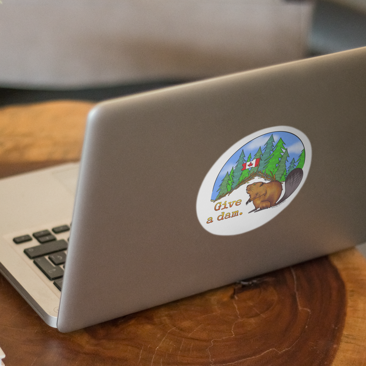 Give A Dam Large Sticker – It's OK. It's ART.